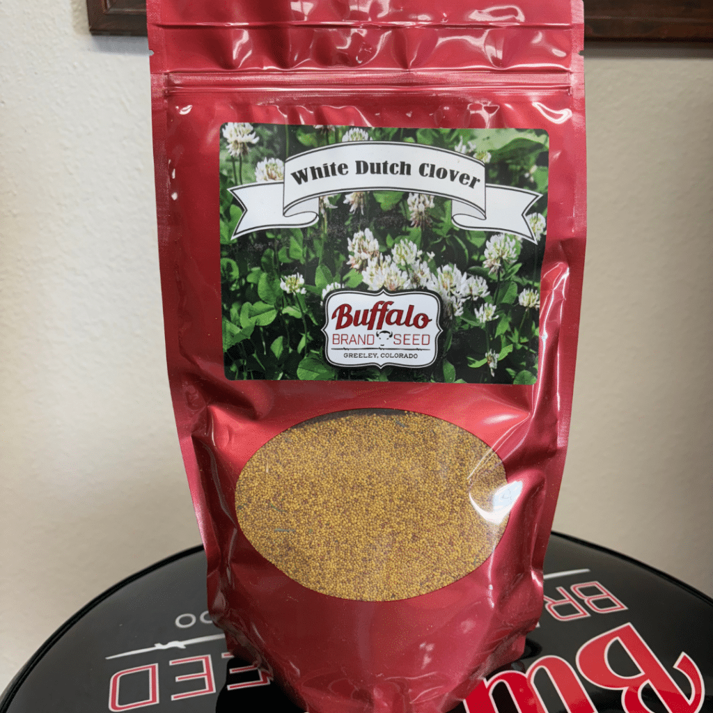 White Dutch Clover Seed - Buffalo Brand Seed