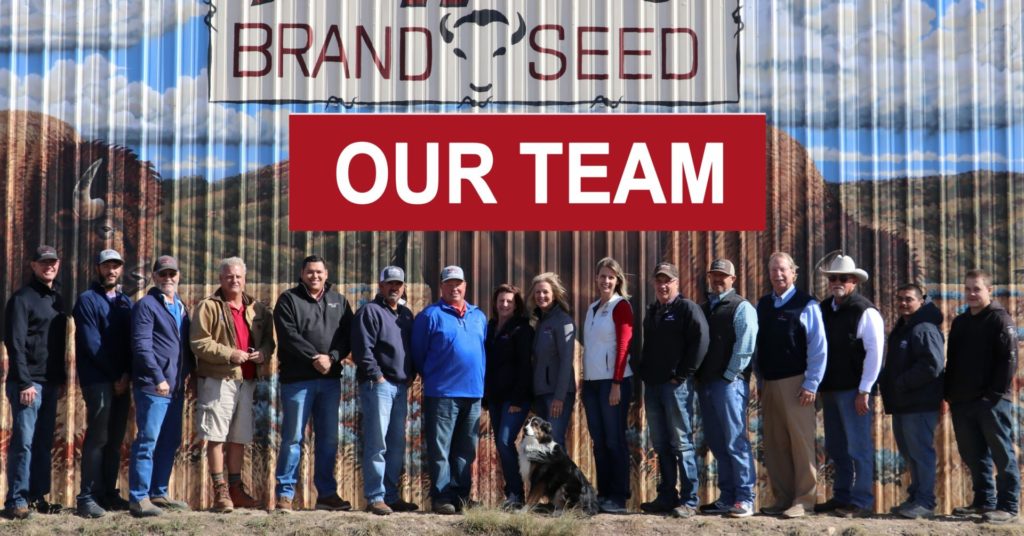 Home Buffalo Brand Seed